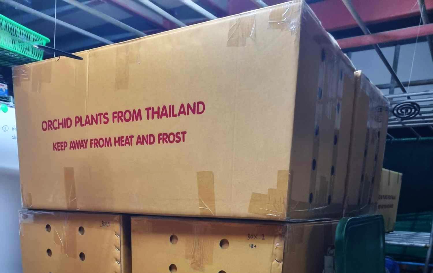 What You Need to Know About Importing Plants to the US: Documentation ...